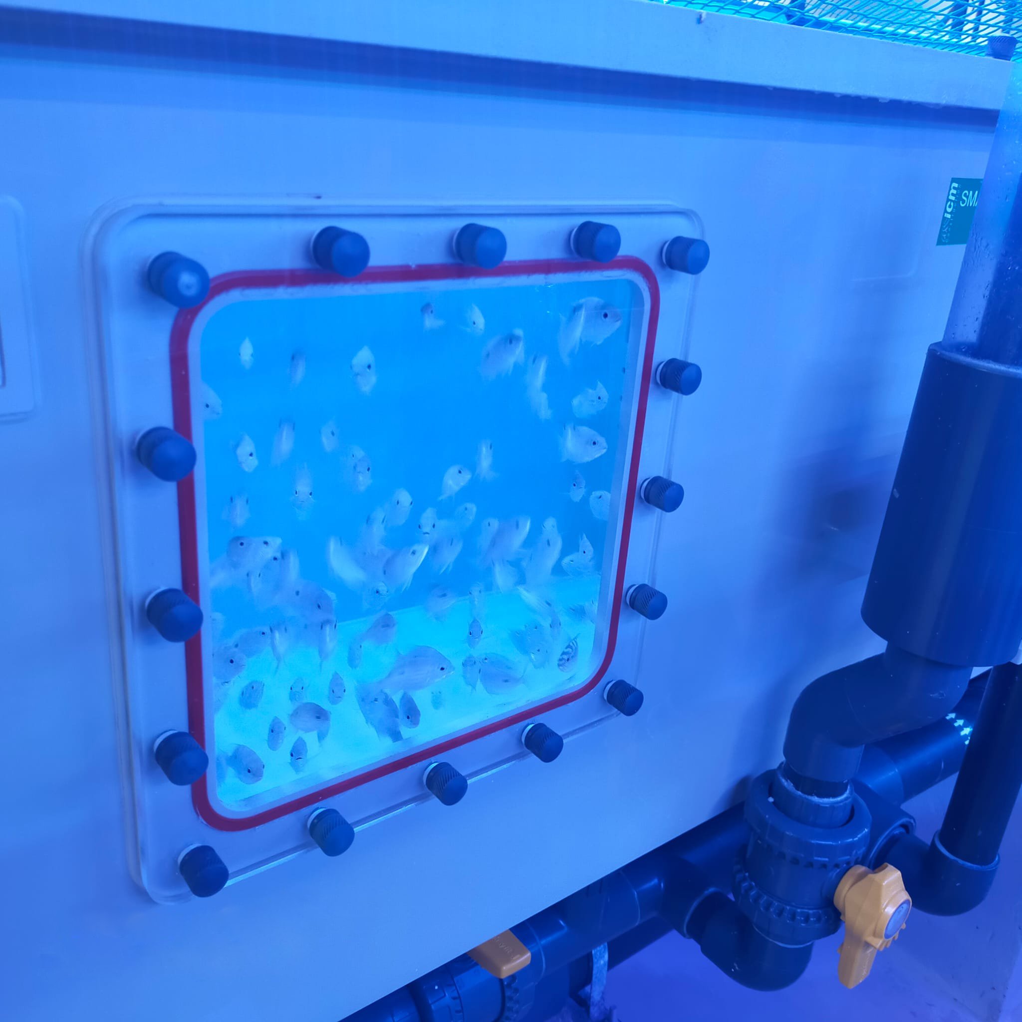 Life Support System Solutions | ICM Corp - Aquarium Expertise