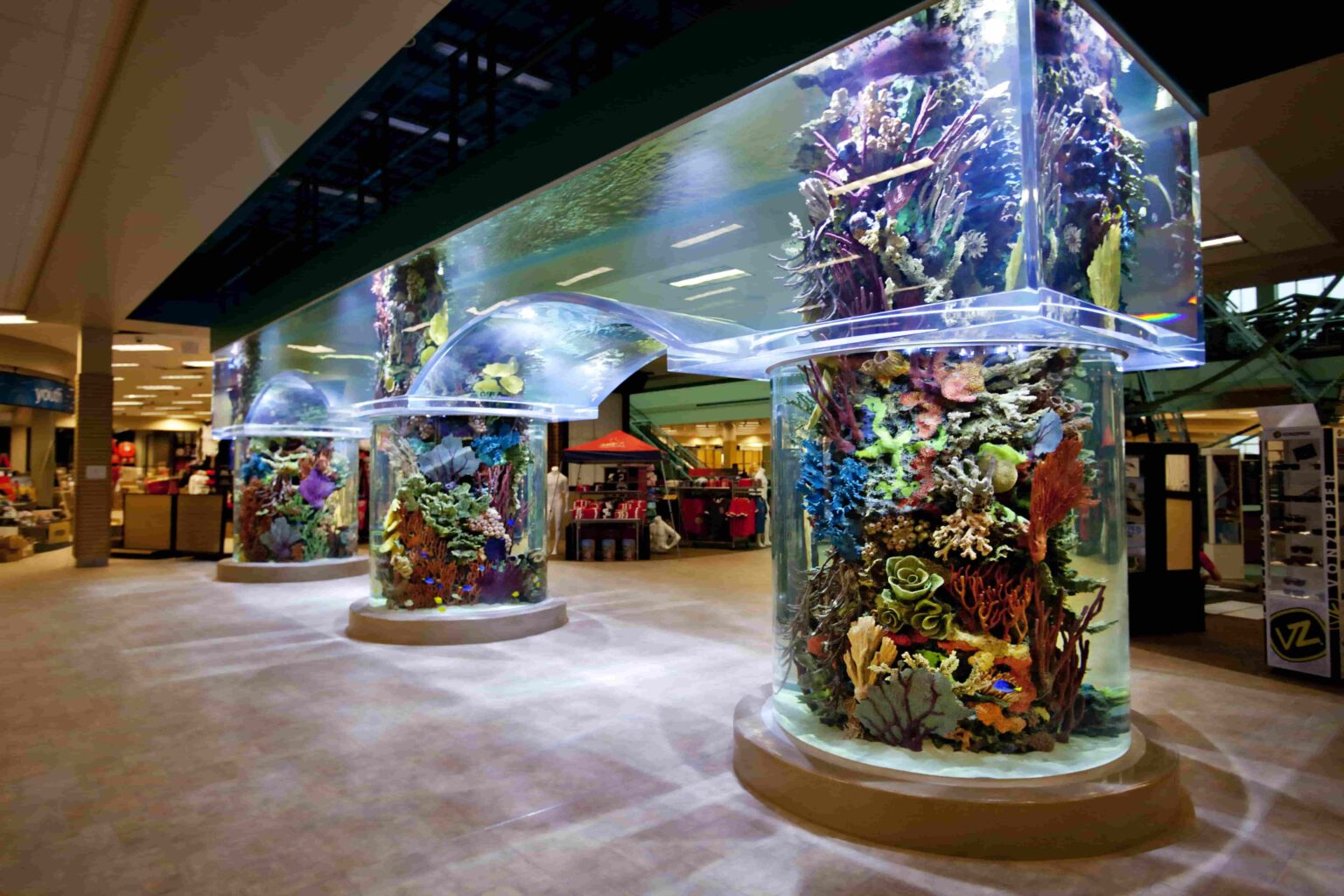 Scheels Sports Aquarium | Dive into Aquatic Adventures | ICM Corp