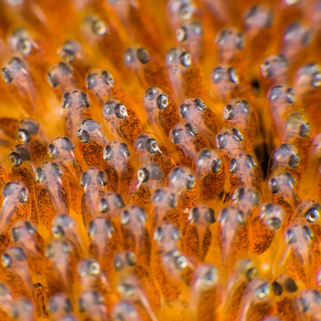 Life Support System Solutions | ICM Corp - Aquarium Expertise