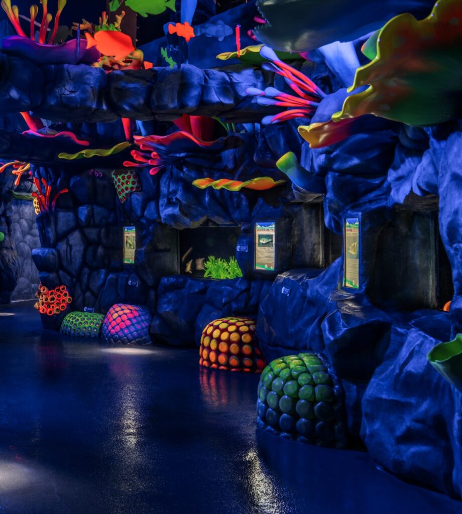 Lotte World Aquarium Hanoi: The Oceanic Symphony | ICM Lotte World Aquarium Hanoi: The Oceanic Symphony | ICM
