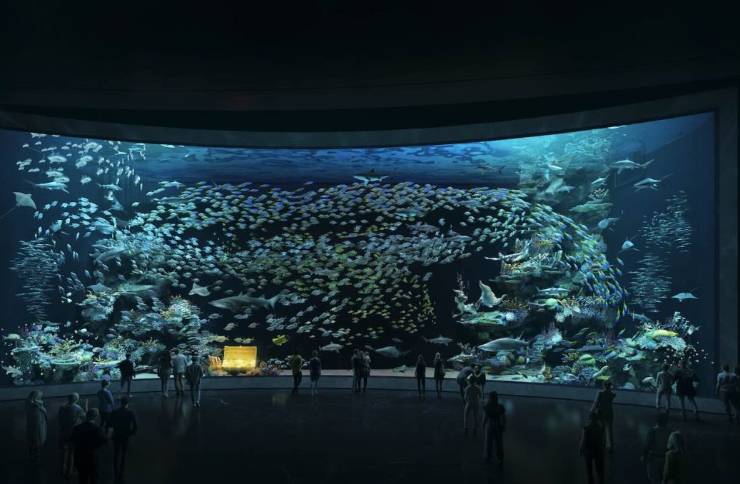 Landmark Ocean Tank | ICM